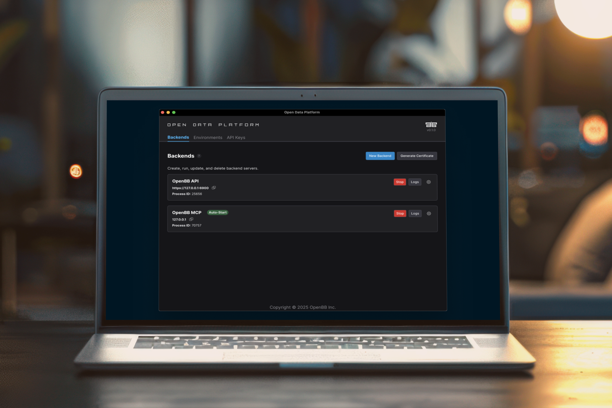 OpenBB releases Open Data Platform | OpenBB